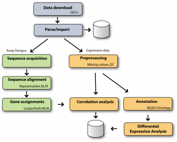Data Curation | Gemma Documentation